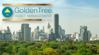 GoldenTree hires Goldman Sachs exec to bolster insurance unit ...